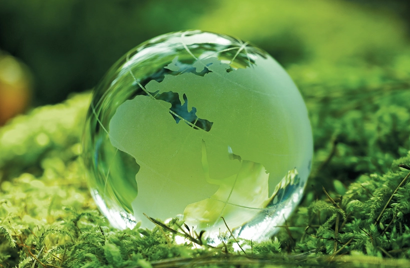 All the latest news from Novair